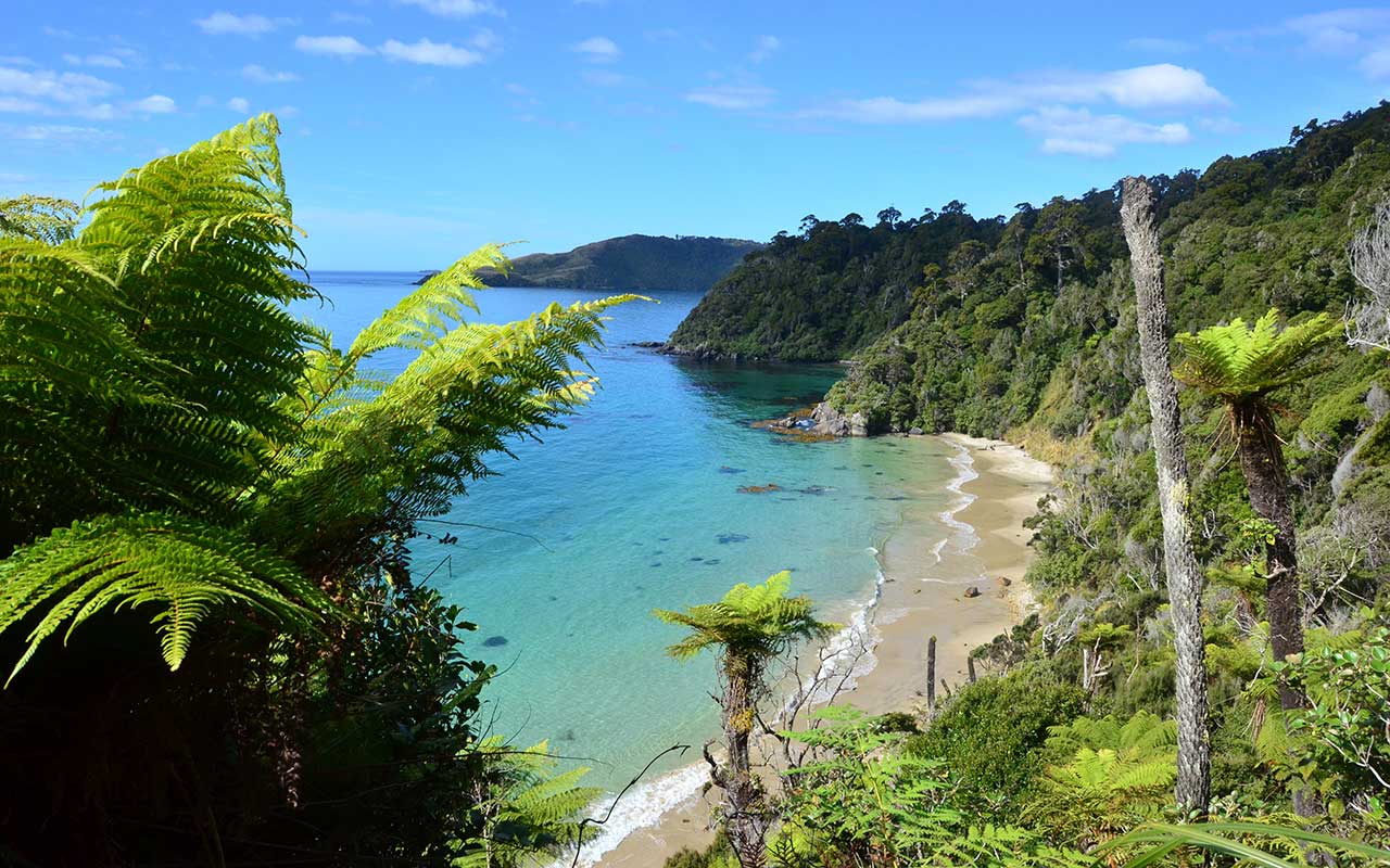Stewart Island - voyage, circuits, guide, activités | New Zealand Roads